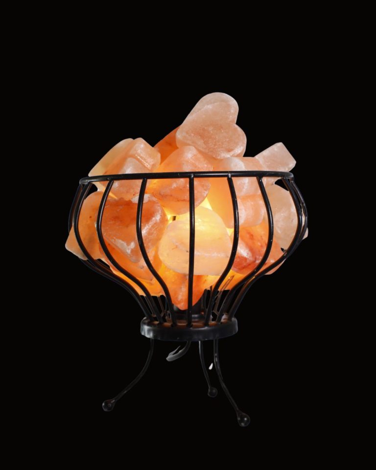 Home - Healthy Salt International