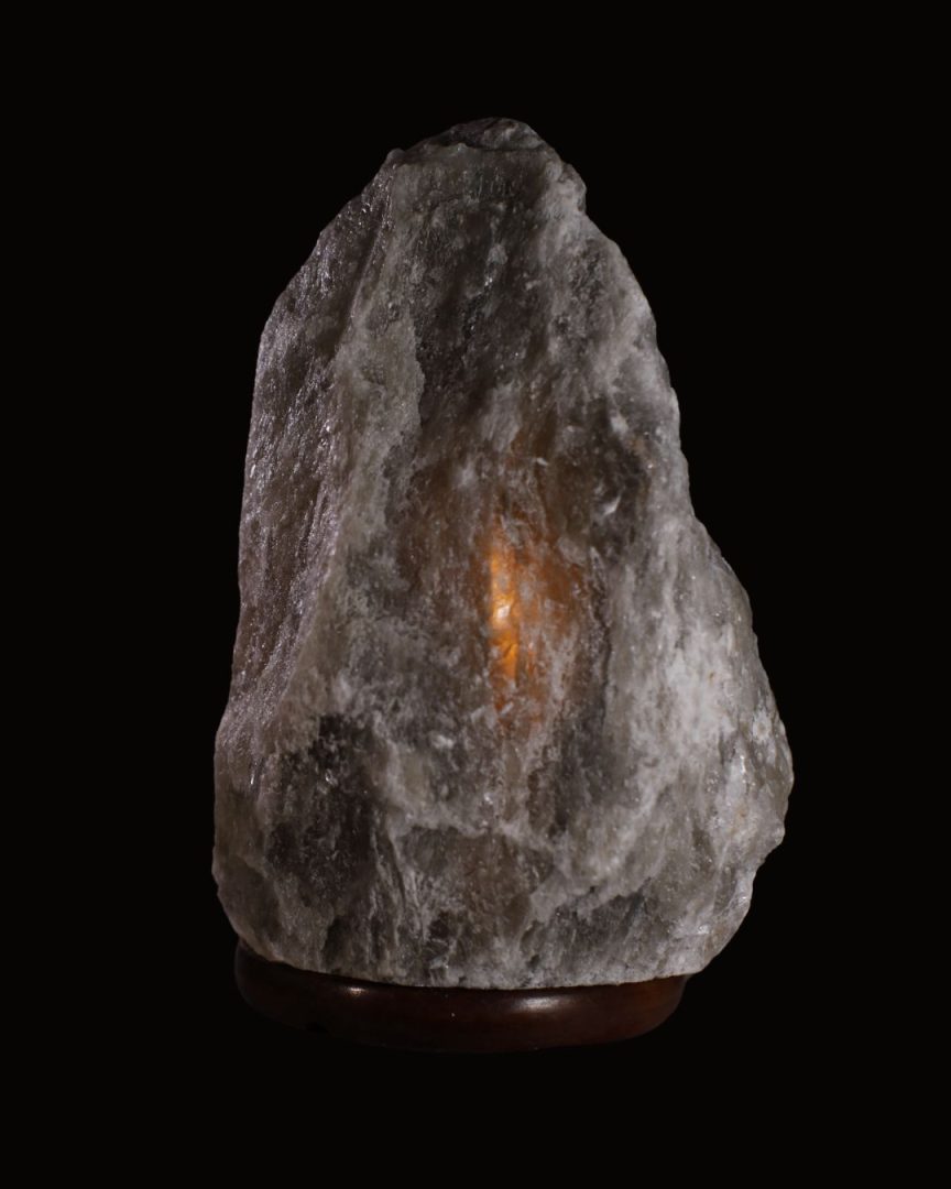 Home - Healthy Salt International