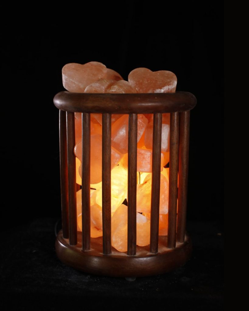 Home - Healthy Salt International