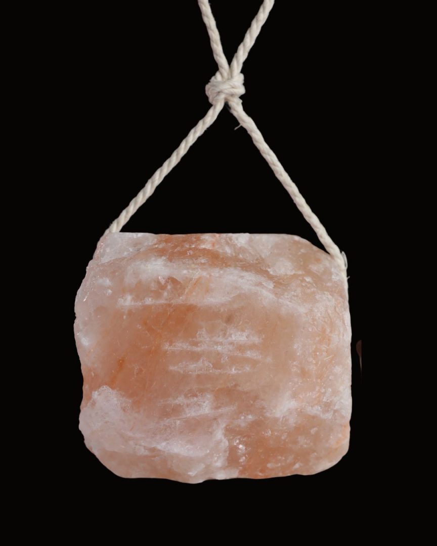 Home - Healthy Salt International