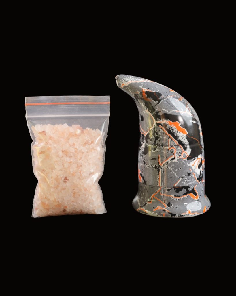 Home - Healthy Salt International