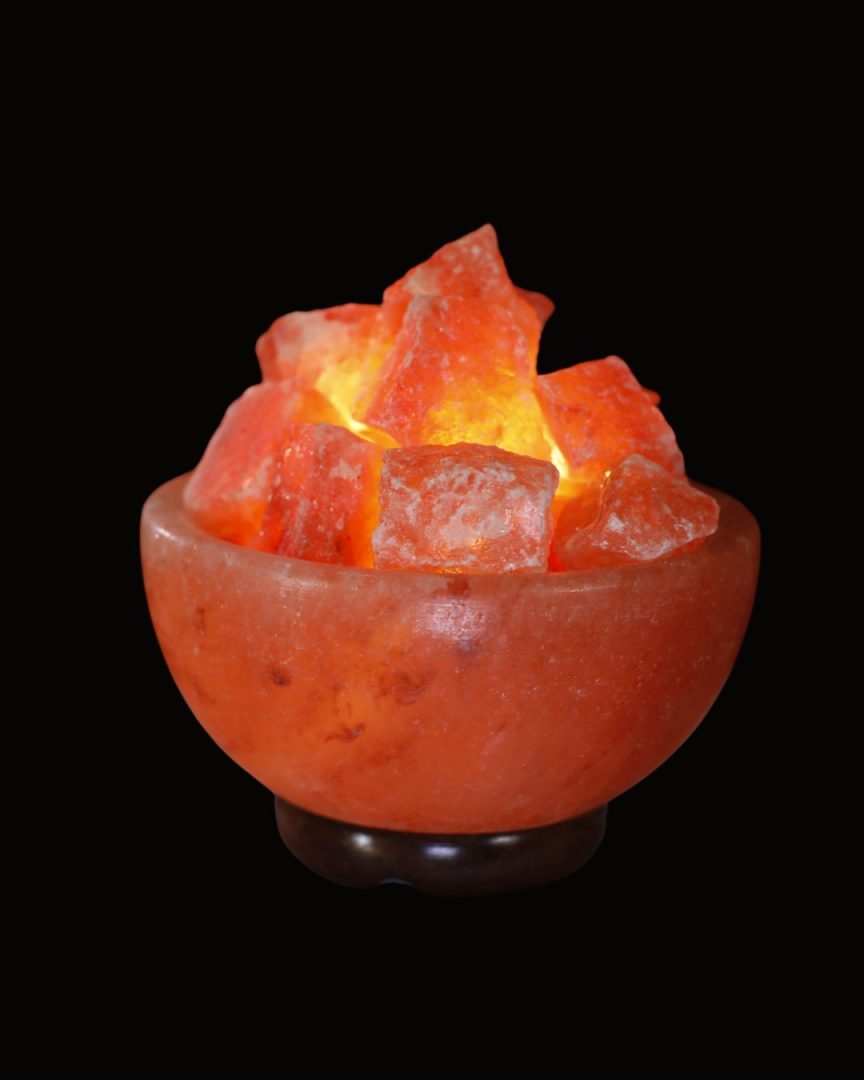 Home - Healthy Salt International