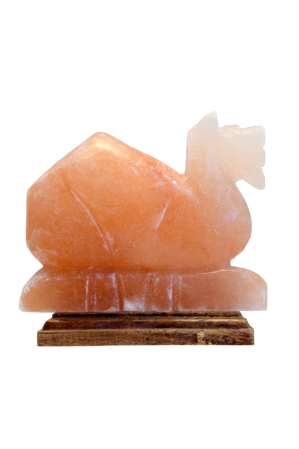 Animal Salt Lamps – Healthy Salt Internstional