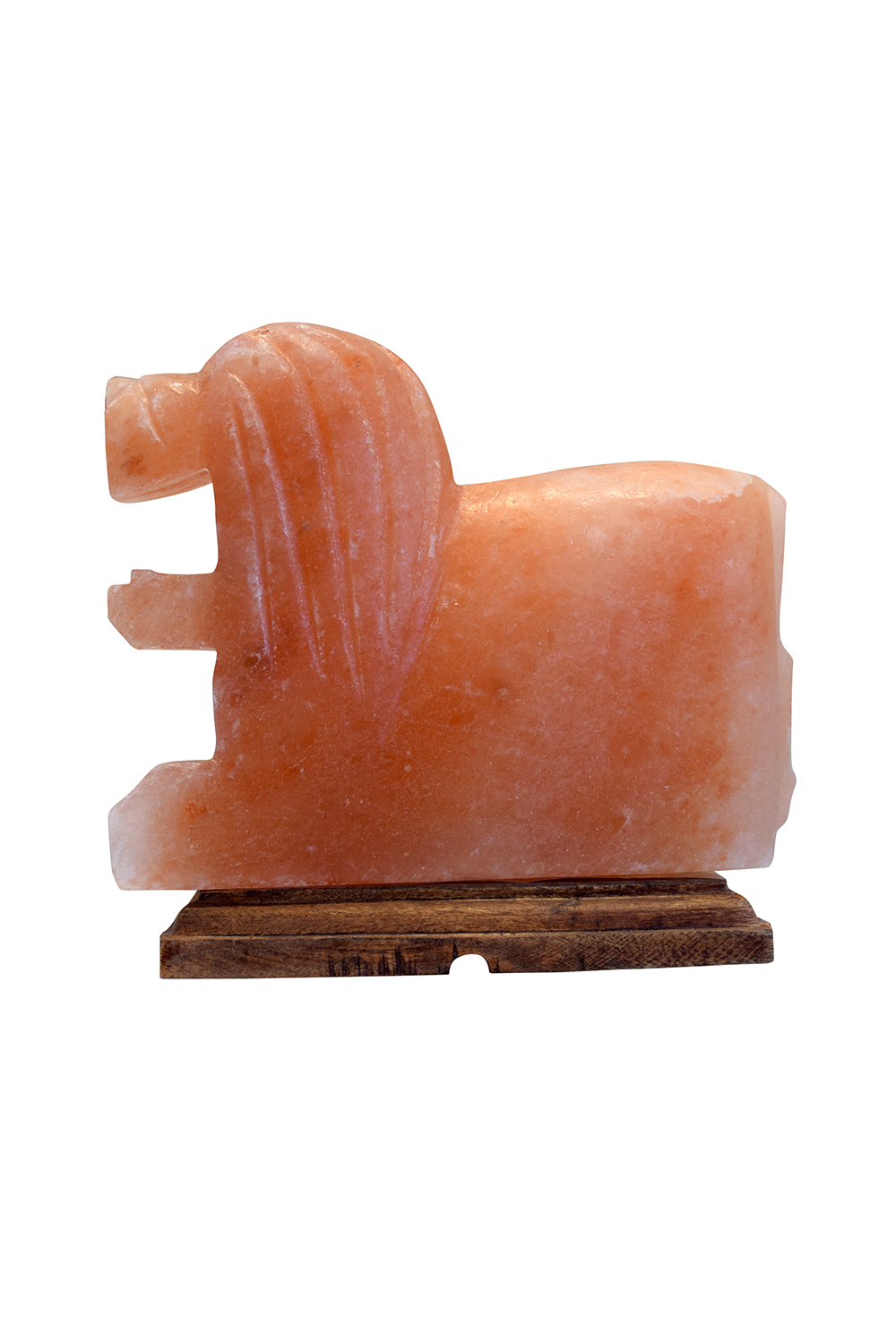 Animal Salt Lamps – Healthy Salt Internstional