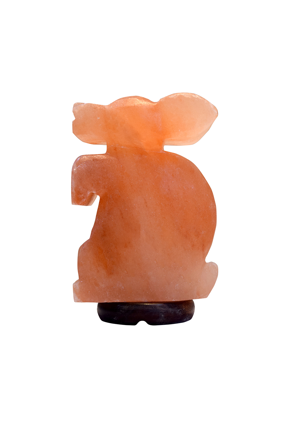 Animal Salt Lamps – Healthy Salt Internstional